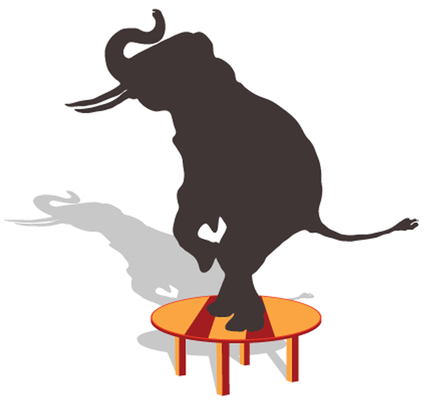 The elephant in the conference room