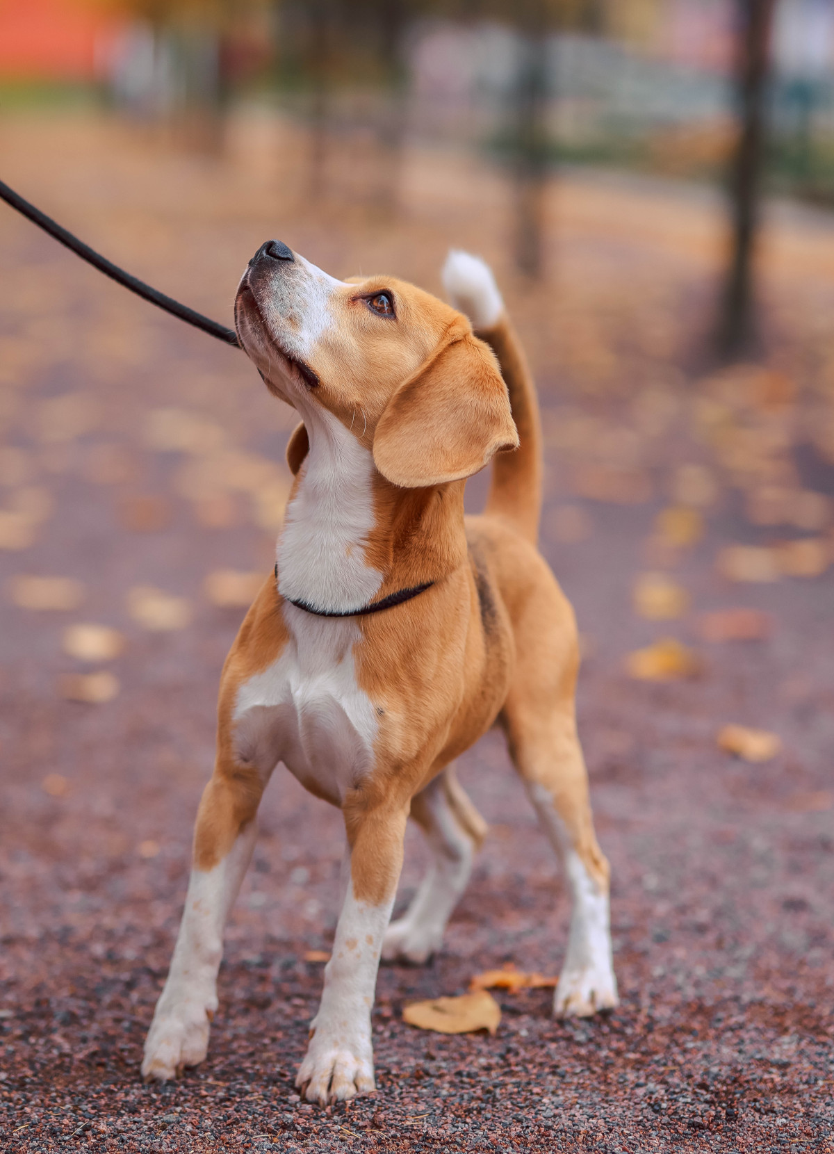 How do you want to be led?